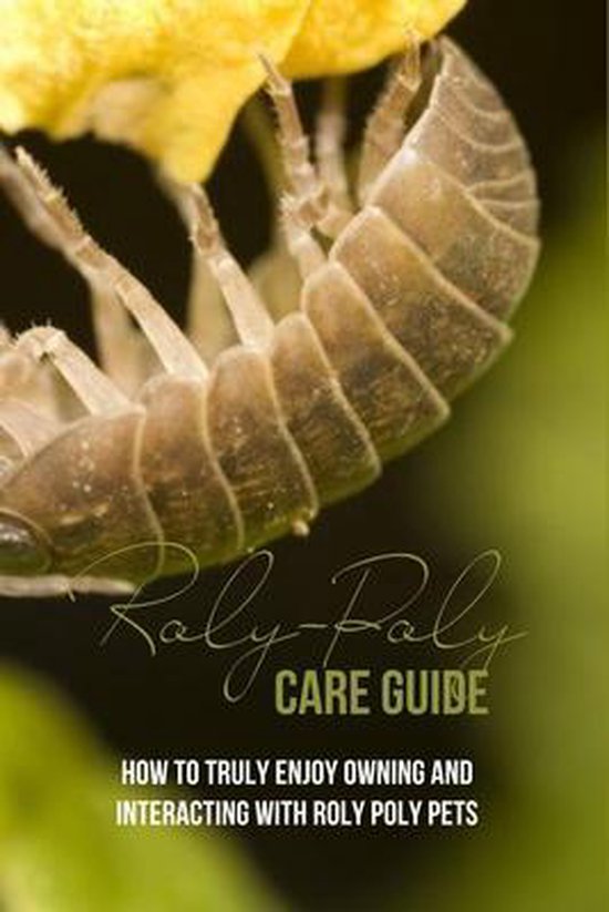 Roly-Poly Care Guide: How To Truly Enjoy Owning And Interacting With ...
