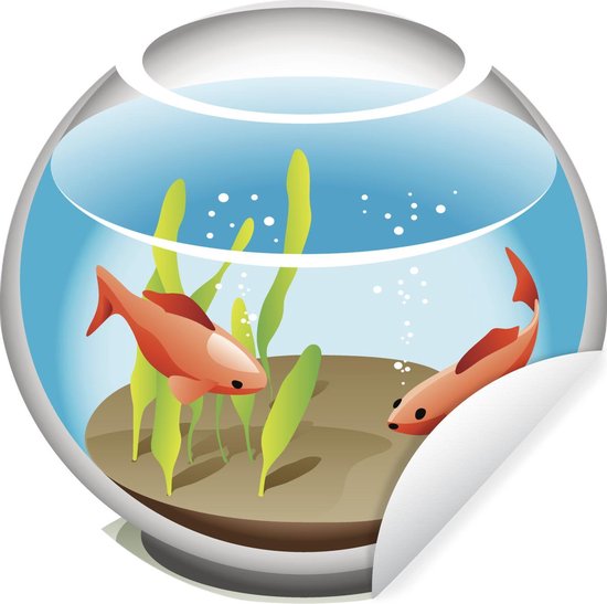 Illustration de deux poissons rouges dans un bol Sticker mural cercle ...