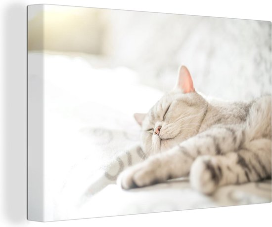 Canvas Schilderij Kat slaapt op de bank - 30x20 cm - Wanddecoratie ...