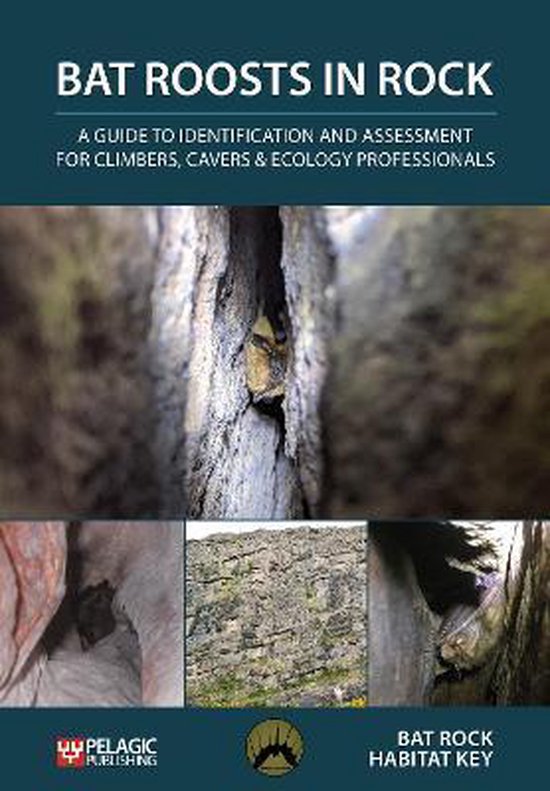 Bat Roosts in Rock | 9781784272616 | Bat Rock Habitat Key | Boeken ...