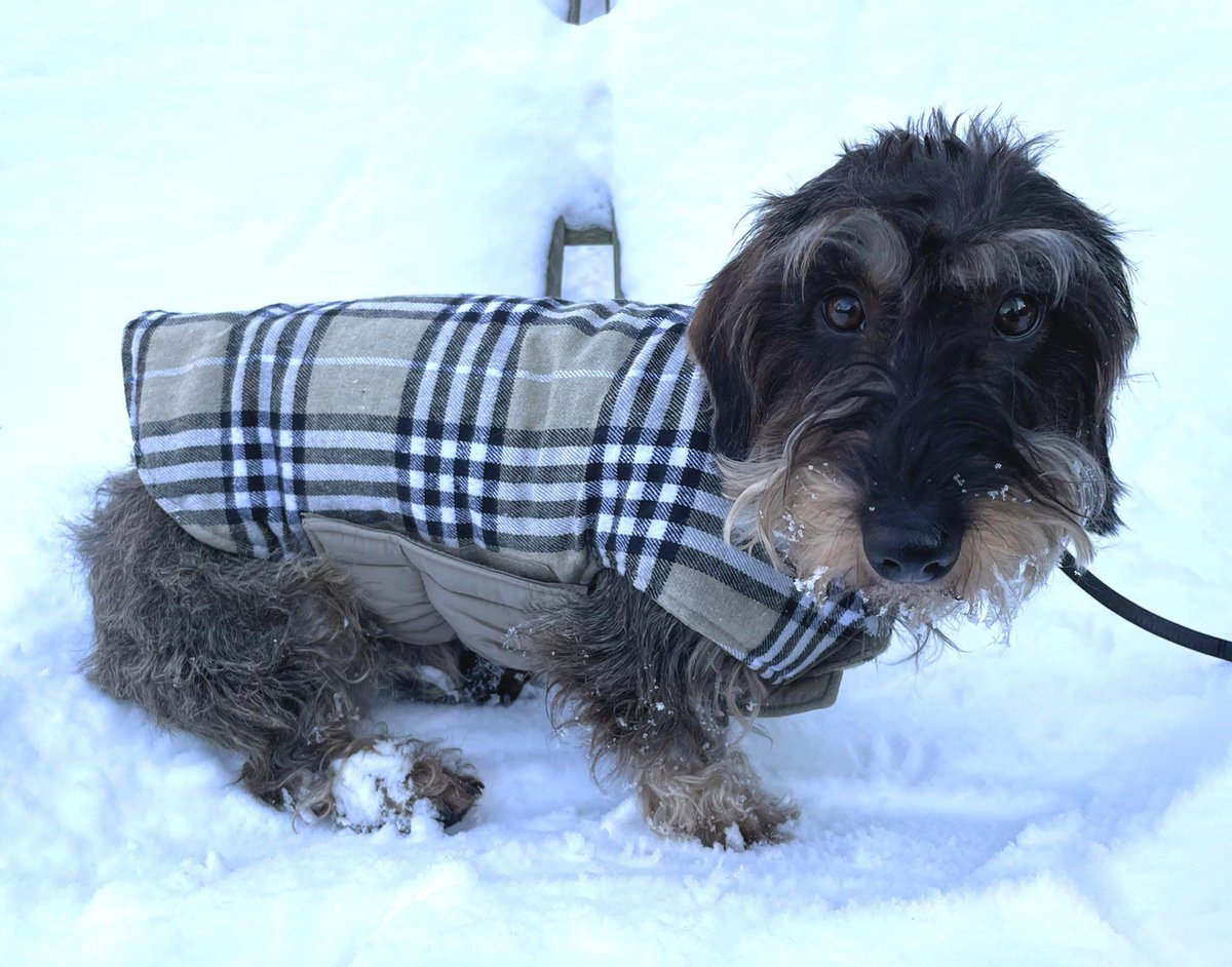 Hondenjas waterdicht engelse stijl - rode ruit - plaid - klassiek ...