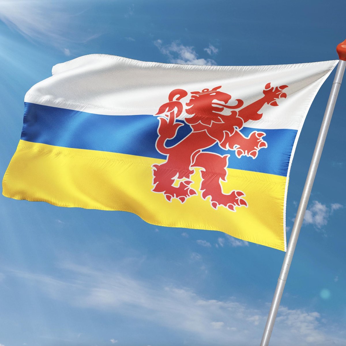 Vlag Limburg - 200 x 300 cm - Polyester | bol.com