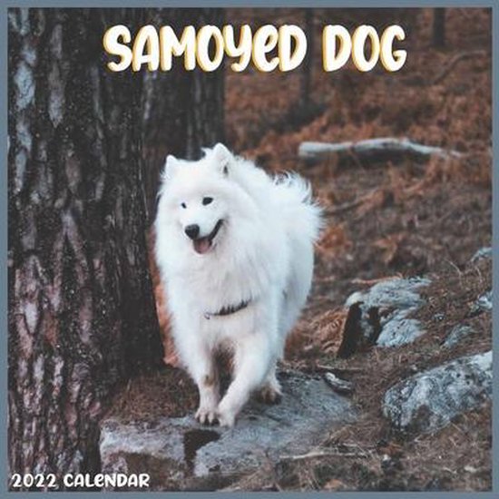 Samoyed Dog 2022 Calendar, Pro Claendar 2022-2023 | 9798741057681 ...