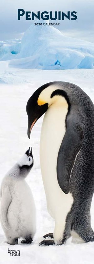 Penguins 2020 Slimline Calendar | bol.com