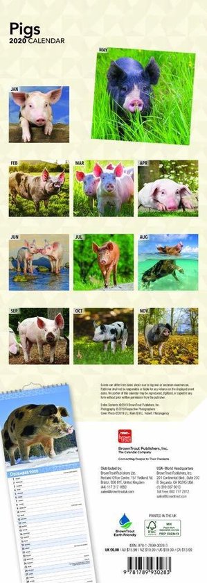 BROWNTROUT UK: Pigs 2020 Slim Calendar | bol.com