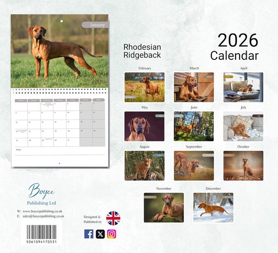 Hondenkalender 2026: Maandkalender met Lijst voor Notities, A4 Formaat ...