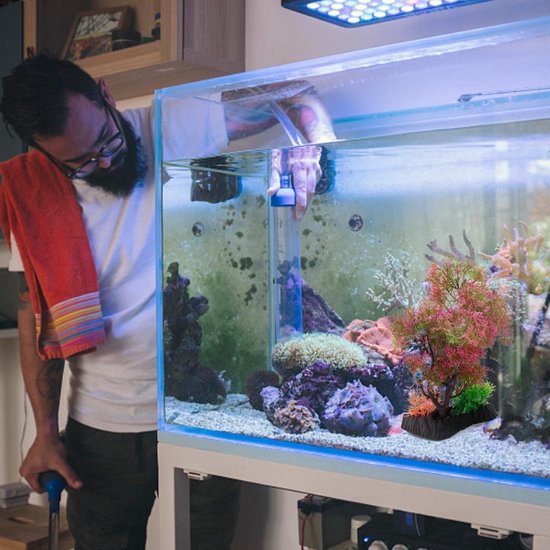 Realistische Kunstplanten voor Aquarium en Vijver Decoratie, 23 cm | bol