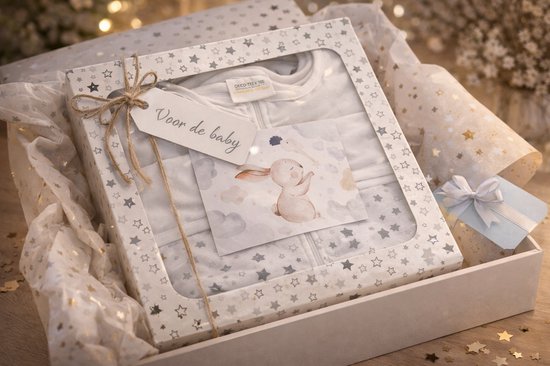 Baby slaapzak 90 CM / Afritsbare Mouwen / 4 seizoenen / 6-18 Maaanden ...