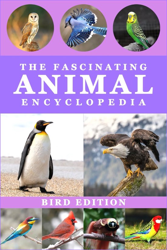 Dieren Encyclopedie voor Kinderen: Fascinerende Feiten over Vogels en ...