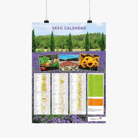 Kalenderplant (Calendario) - Zaaikalender Poster Engels - Opgevouwen | bol