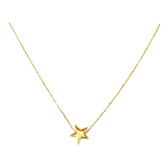 Gouden Ketting Ster Hanger 14 karaats | bol