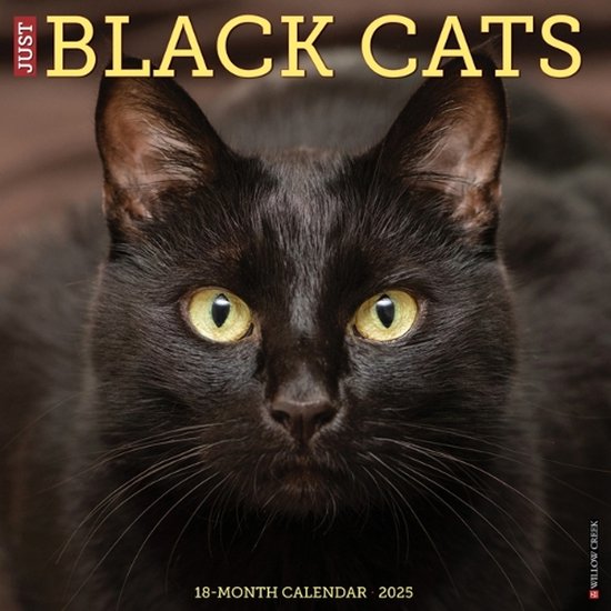 Zwarte Katten Kalender 2026 | bol
