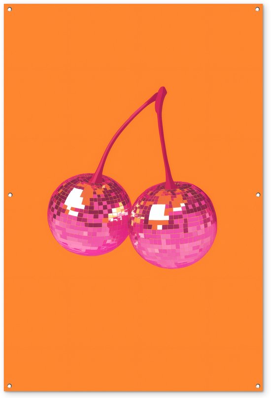 Tuinposter 120x180 cm - Tuindecoratie Discoballen - Kers - Spiegels ...