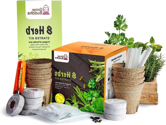 Grow Your Own Horticulture Kit - Easily Grow Plants With Our Complete... | bol