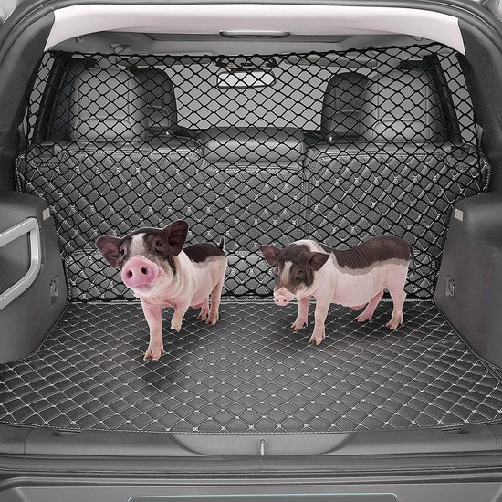Auto Hondennet Divider - Verstelbaar Hondennet voor Auto Boot ...