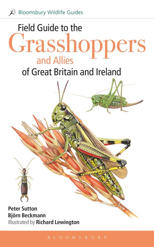 Bloomsbury Wildlife Guides- Field Guide to the Grasshoppers and Allies ...