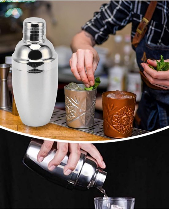 Martini Cocktailshaker 250 ml - met ingebouwde zeef voor barkeeper ...
