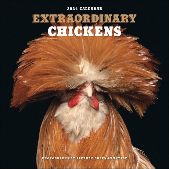 Extraordinary Chickens 2024 Wall Calendar, Stephen Green-Armytage ...