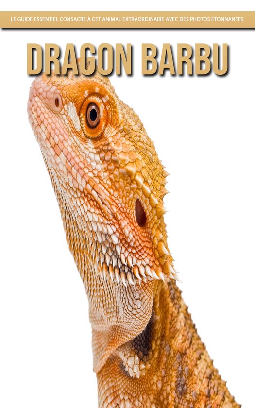 Dragon Barbu: Le Guide Essentiel Consacré à Cet Animal Extraordinaire ...