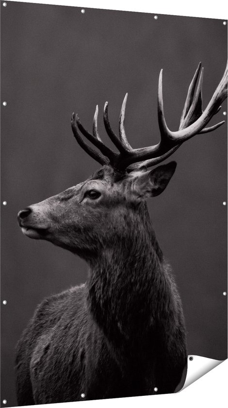 Gards Tuinposter Hertenkop - Hert - Zwart Wit - 120x180 cm - Tuindoek ...