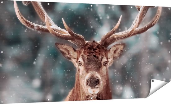 Gards Affiche de Jardin Tête de Cerf - Cerf dans la Neige - 180x90 cm ...