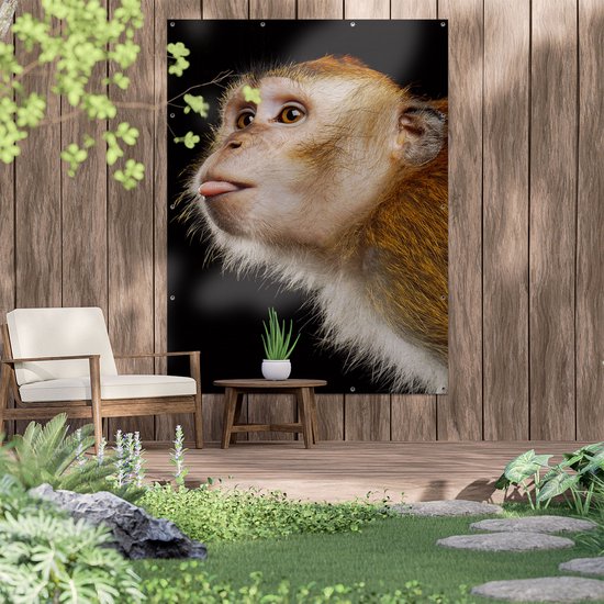 Gards Tuinposter Apenkop met Zijn Tong uit - Aap - 120x160 cm ...