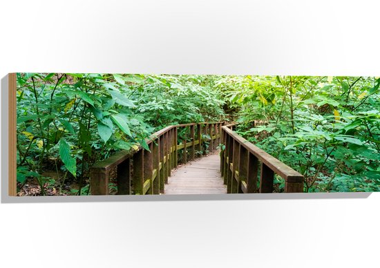 Hout - Houten Bruggetje door de Planten in het Bos - 90x30 cm - 9 mm ...
