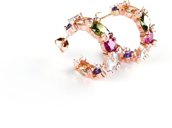 Zilveren oorringen oorbellen creolen roos goud verguld gezet met multi color stenen | bol.com