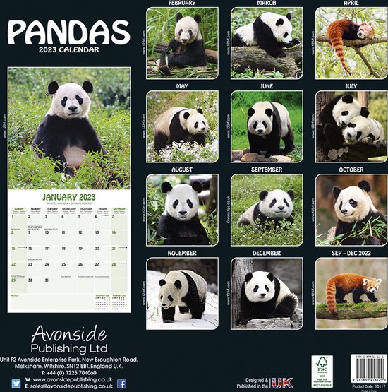 Panda Kalender 2023 | bol.com
