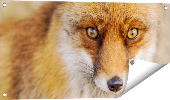 Gards Tuinposter Vossenkop met Bruine Ogen - Vos - 80x40 cm - Tuindoek ...