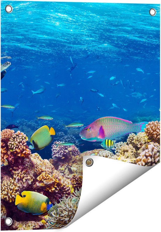 Gards Tuinposter Vissen met Koraalrif in de Oceaan - 40x50 cm ...
