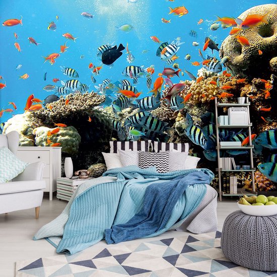 Fotobehang - Vlies Behang - Koraalrif en Tropische Vissen - Aquarium ...