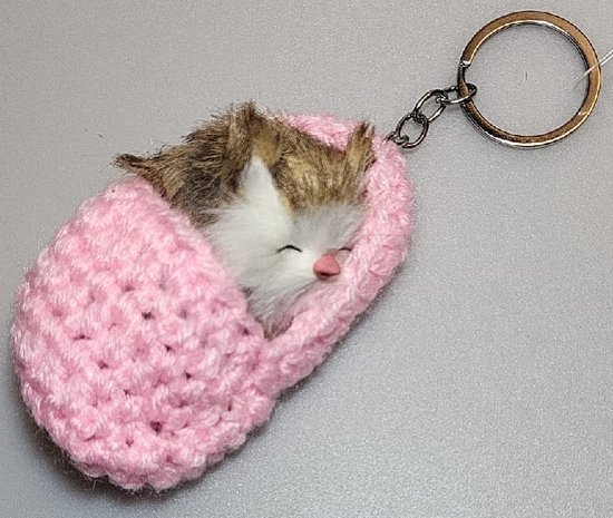 Een schattig en lief poesje (10cm x 5cm) slapend in een pantoffel. Een ...