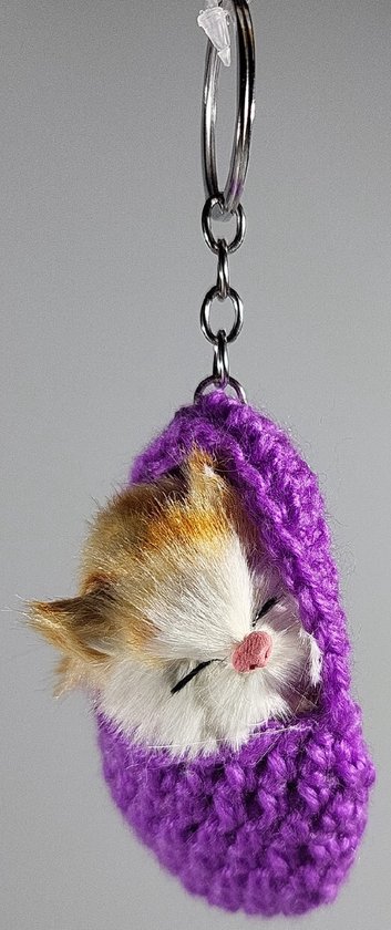 Een schattig en lief poesje (10cm x 5cm) slapend in een pantoffel. Een ...