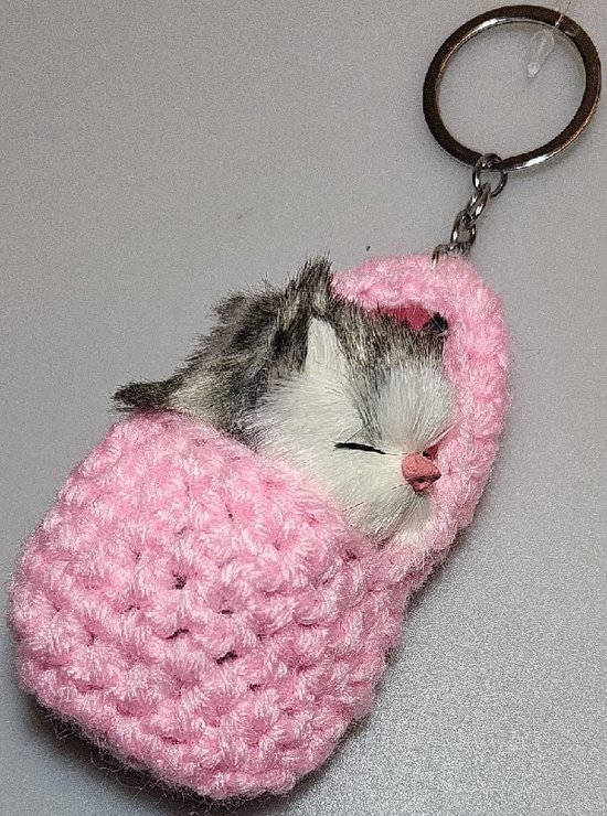 Een schattig en lief poesje (10cm x 5cm) slapend in een pantoffel. Een ...