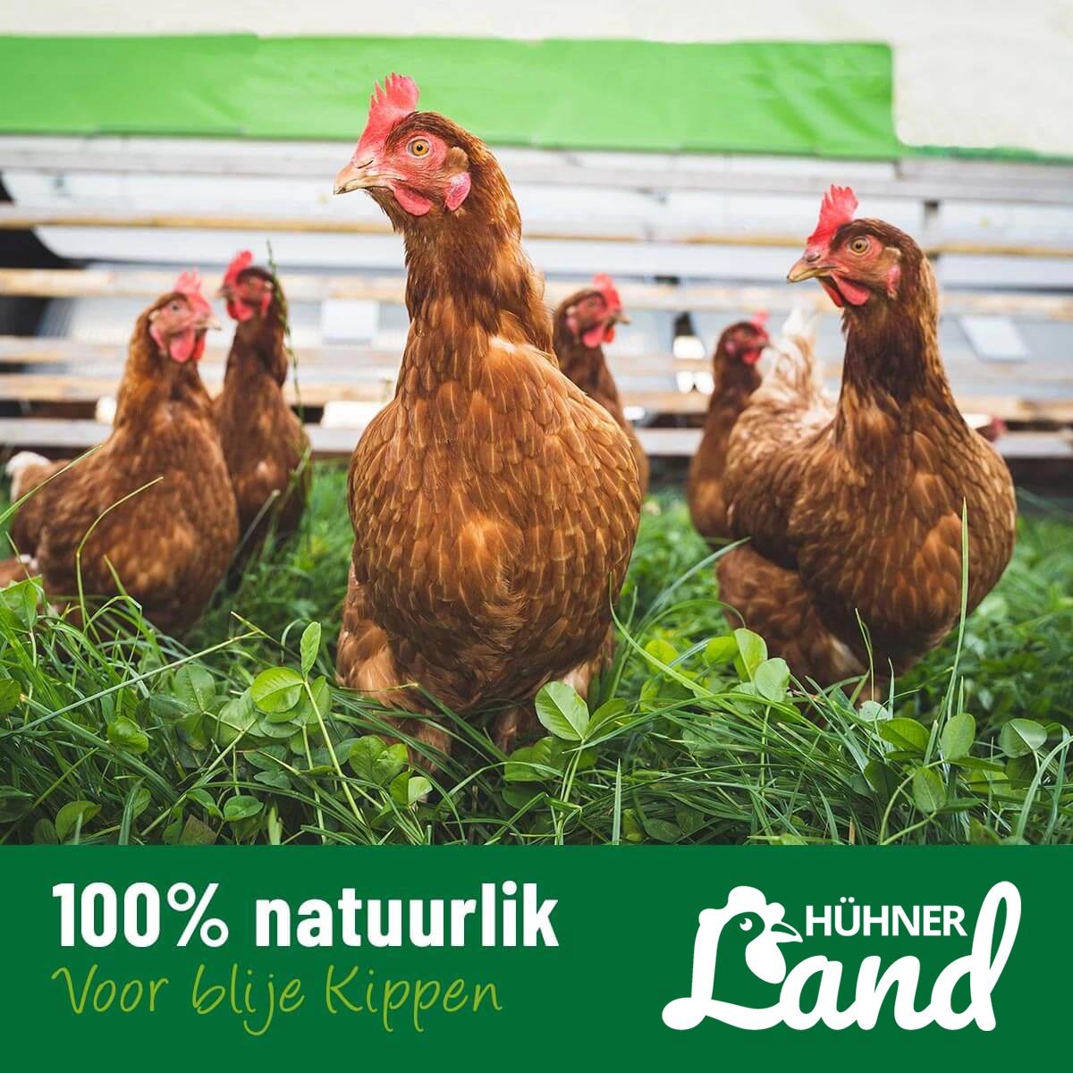 HÜHNER Land - Kippen Vitamine - 4-voudig vitamincomplex - Voor Kippen ...