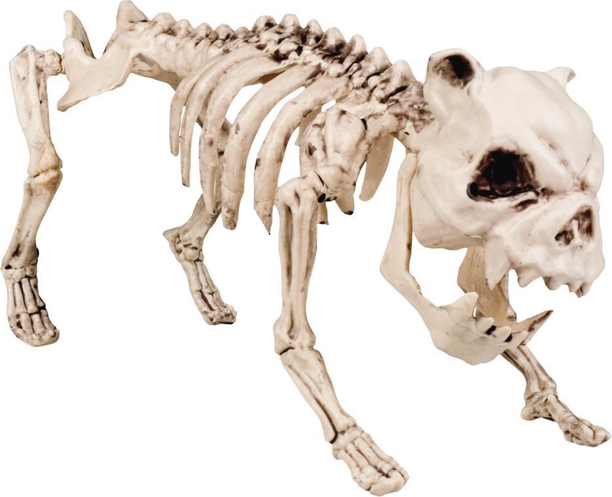 Boland - Hond Skelet Decoratie - 42cm | bol