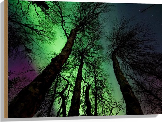 Hout - Noorderlicht Boven Hoge Smalle Kale Bomen - 80x60 cm - 9 mm dik ...
