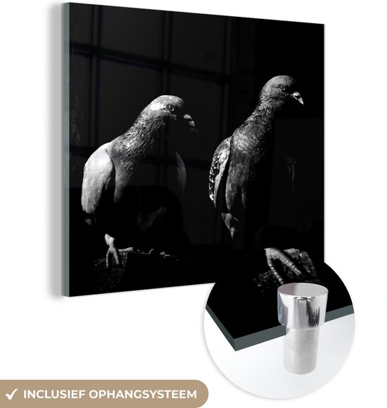 MuchoWow® Glasschilderij 90x90 cm - Schilderij acrylglas - Twee ...