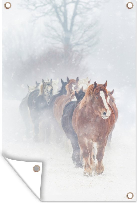 Montez à cheval dans un paysage d'hiver affiche de jardin toile en vrac ...