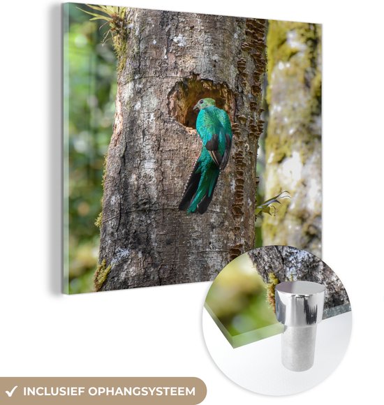 MuchoWow® Glasschilderij 90x90 cm - Schilderij acrylglas - Een ...