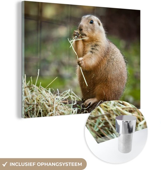 MuchoWow® Glasschilderij 40x30 cm - Schilderij acrylglas - Een ...