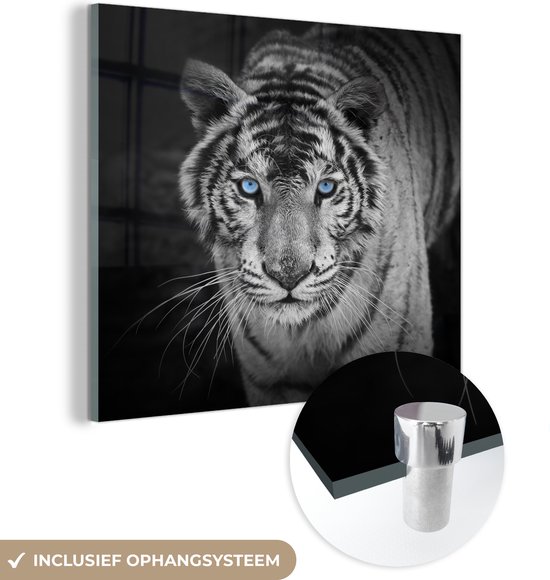 Glasschilderij - Foto op glas - Acrylglas - Dieren - Tijger - Ogen - Blauw - 90x90 cm... | bol