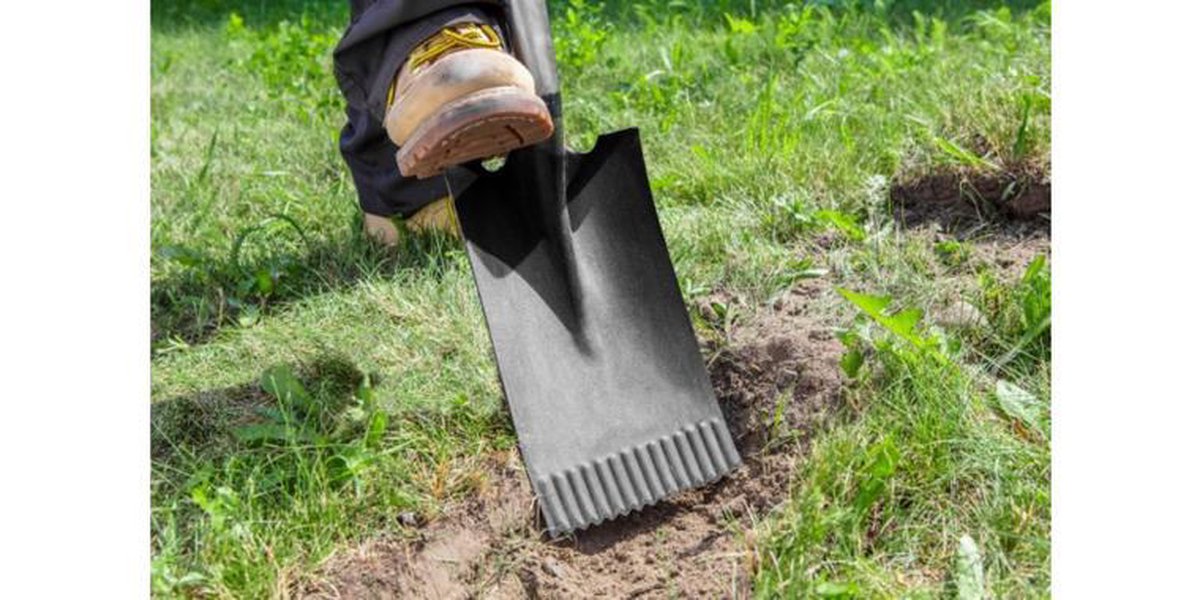 Schep / Spade T-REX verharde kartel. Houten steel. Recht blad. | bol.com