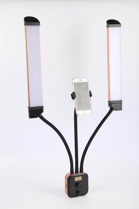 Salon Lamp Pro - Rose / Goud - LED Dubbelarm - Multimedia Lamp - 360 ...