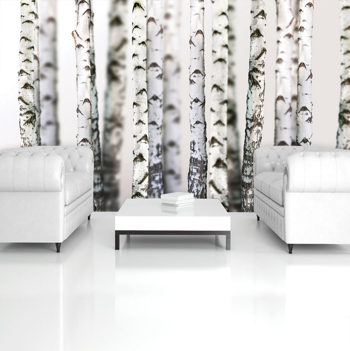 Fotobehang - Vlies Behang - Berkenbomen - Berken - Bomen - Bos - 254 x ...