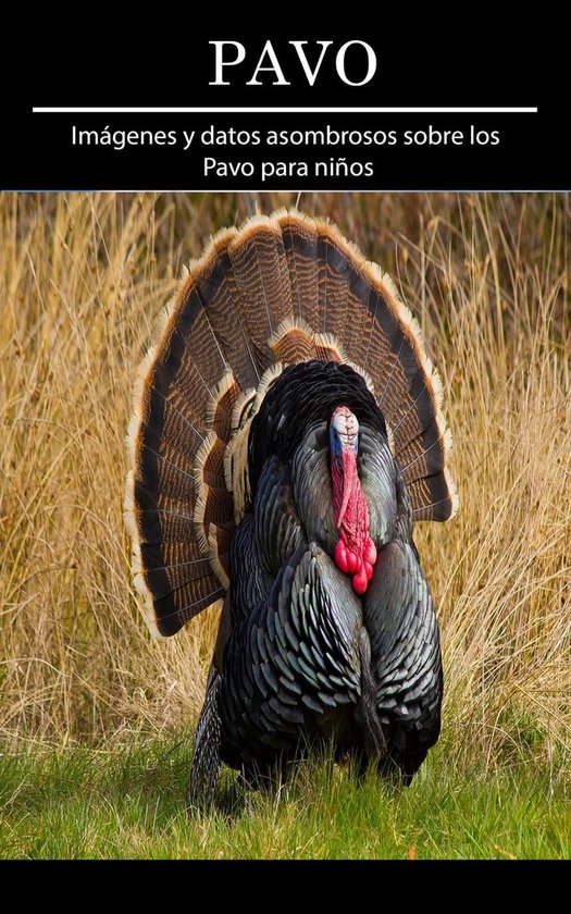Pavo: Imágenes y datos asombrosos sobre los Pavo para niños (ebook ...