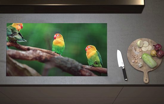 Inductieplaat Beschermer - Trio van Blije Kleurrijke Vogels op Takken ...