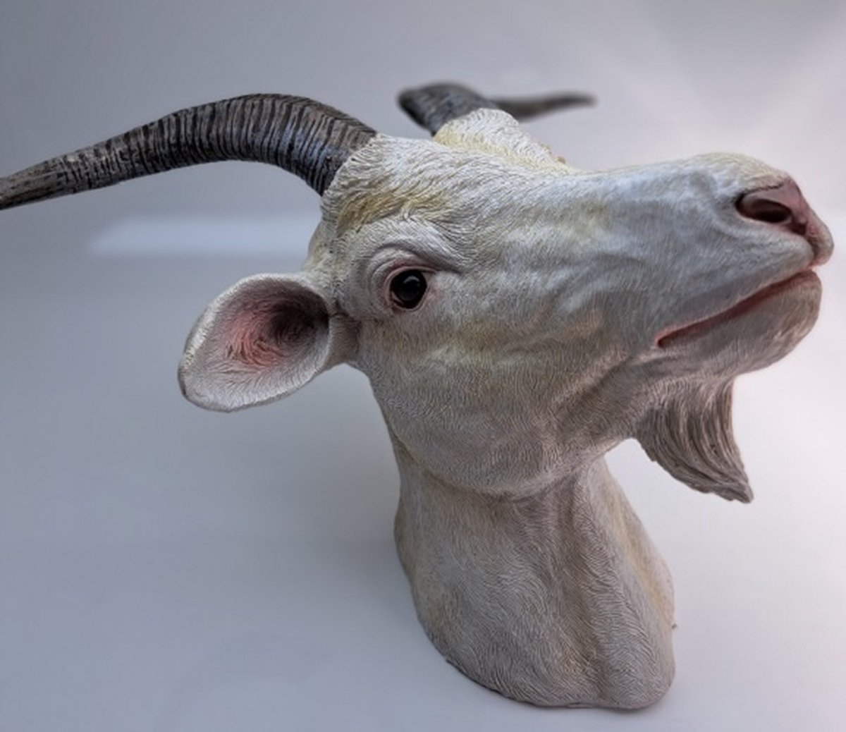 Geit Wanddecoratie 33 cm Villa Pottery decoratie - Luimes en Luimes - geit - | bol