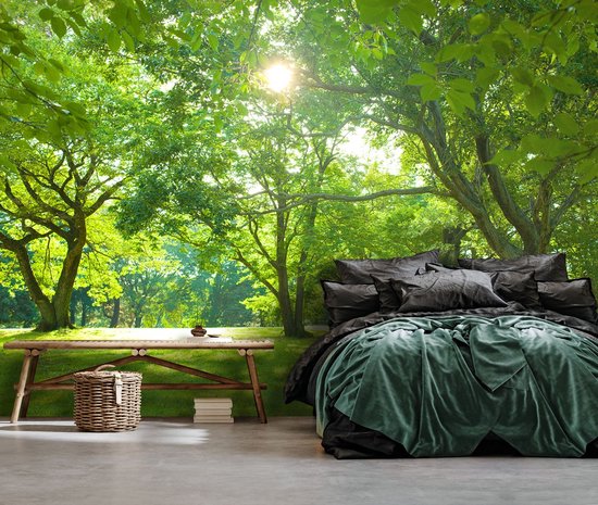 Fotobehang - Bomen - Natuur - Vliesbehang - (254 x 184 cm) | bol.com